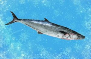 माशांची मराठी नावे | Fish Names in Marathi and English - Help Diva